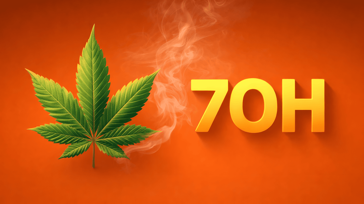 Is 7OH the Same as Cannabis? A Clear Detailed Comparison – 7OH.com