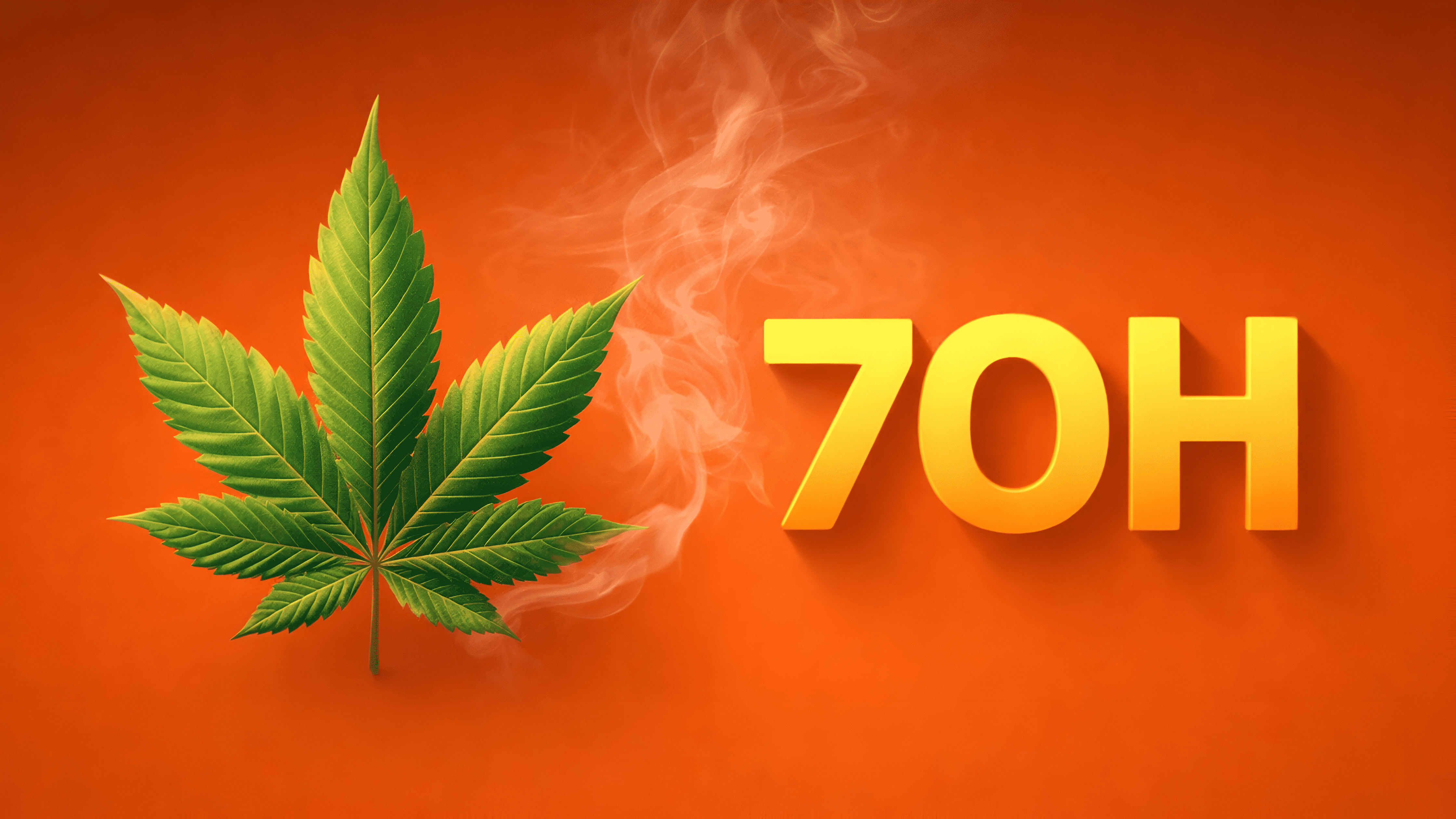 Is 7OH the Same as Cannabis? A Clear Detailed Comparison – 7OH.com